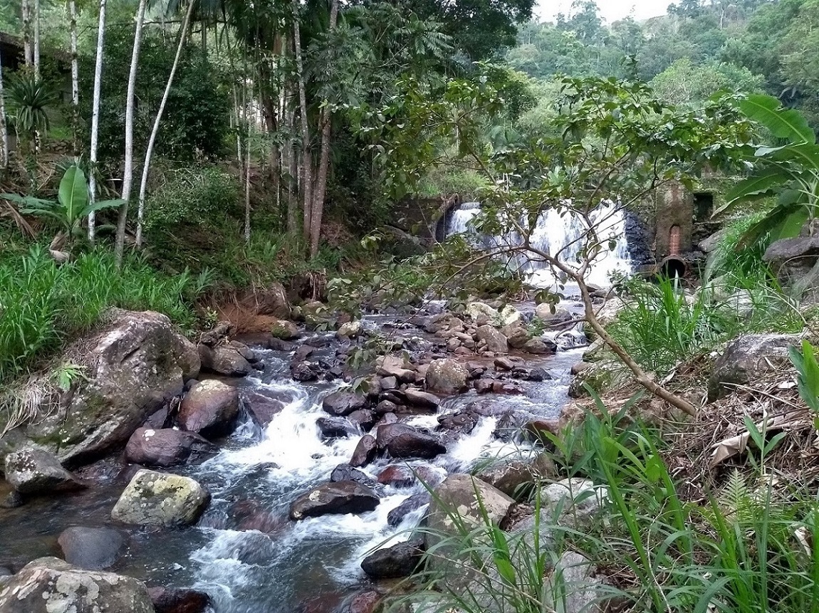 Rodeio, um passeio pela cidade dos anjos - Casa de Doda