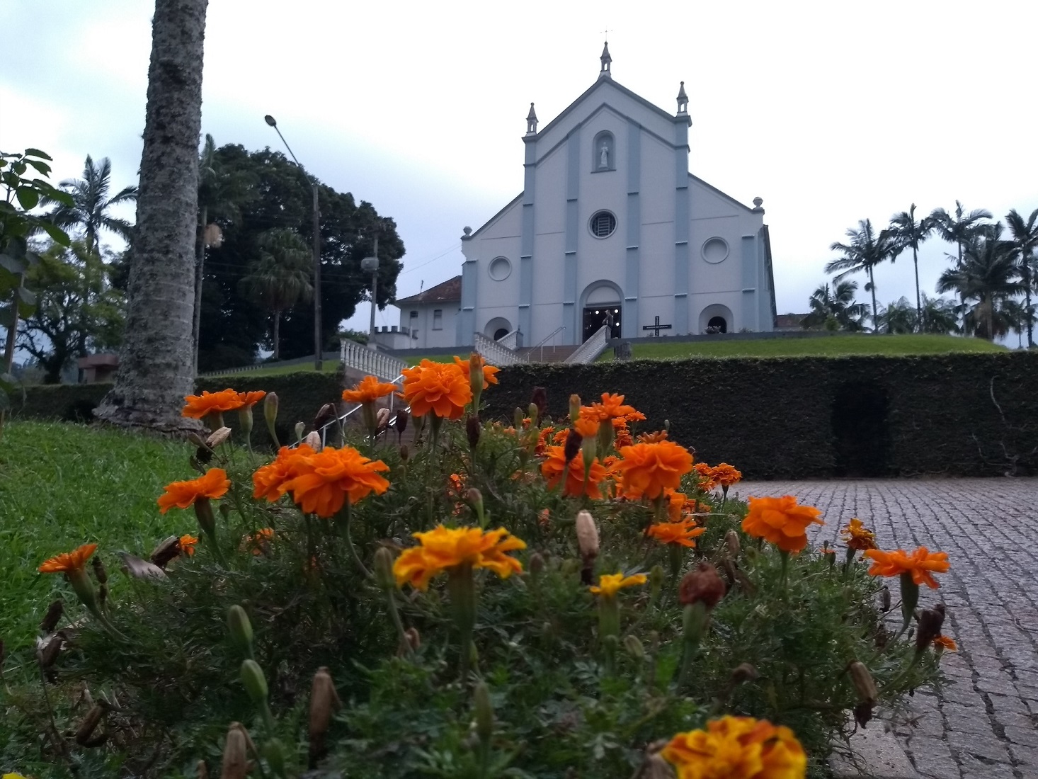 Rodeio, um passeio pela cidade dos anjos - Casa de Doda