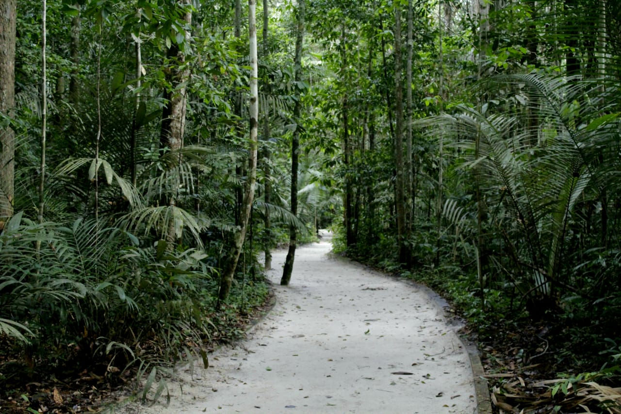 Museu da Amazônia - Visitando o MUSA - Casa de Doda