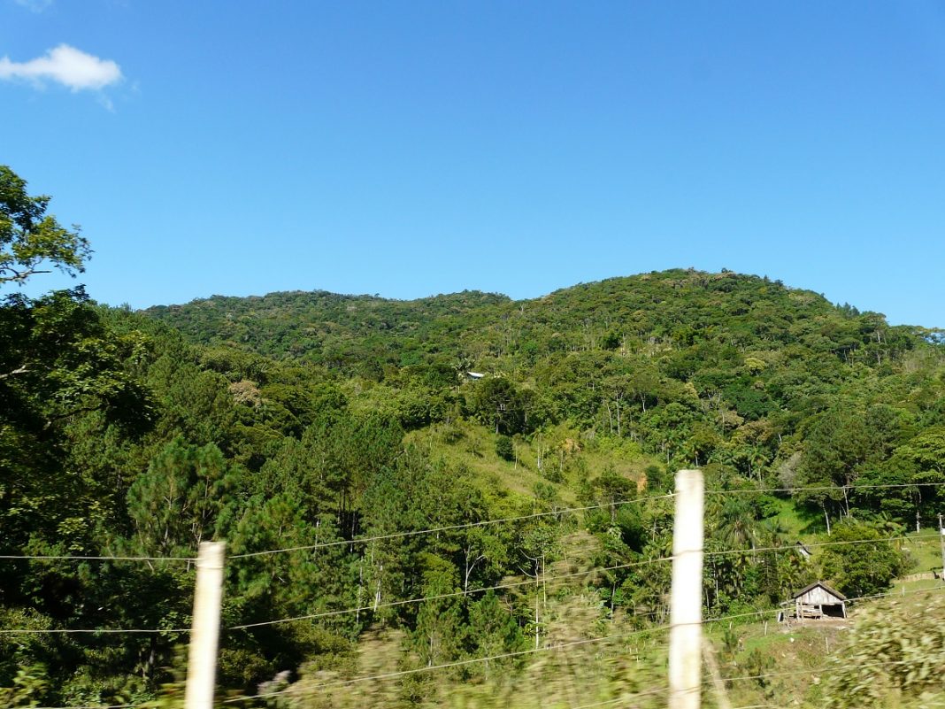 Gaspar: o que fazer na cidade dos parques aquáticos - Casa de Doda